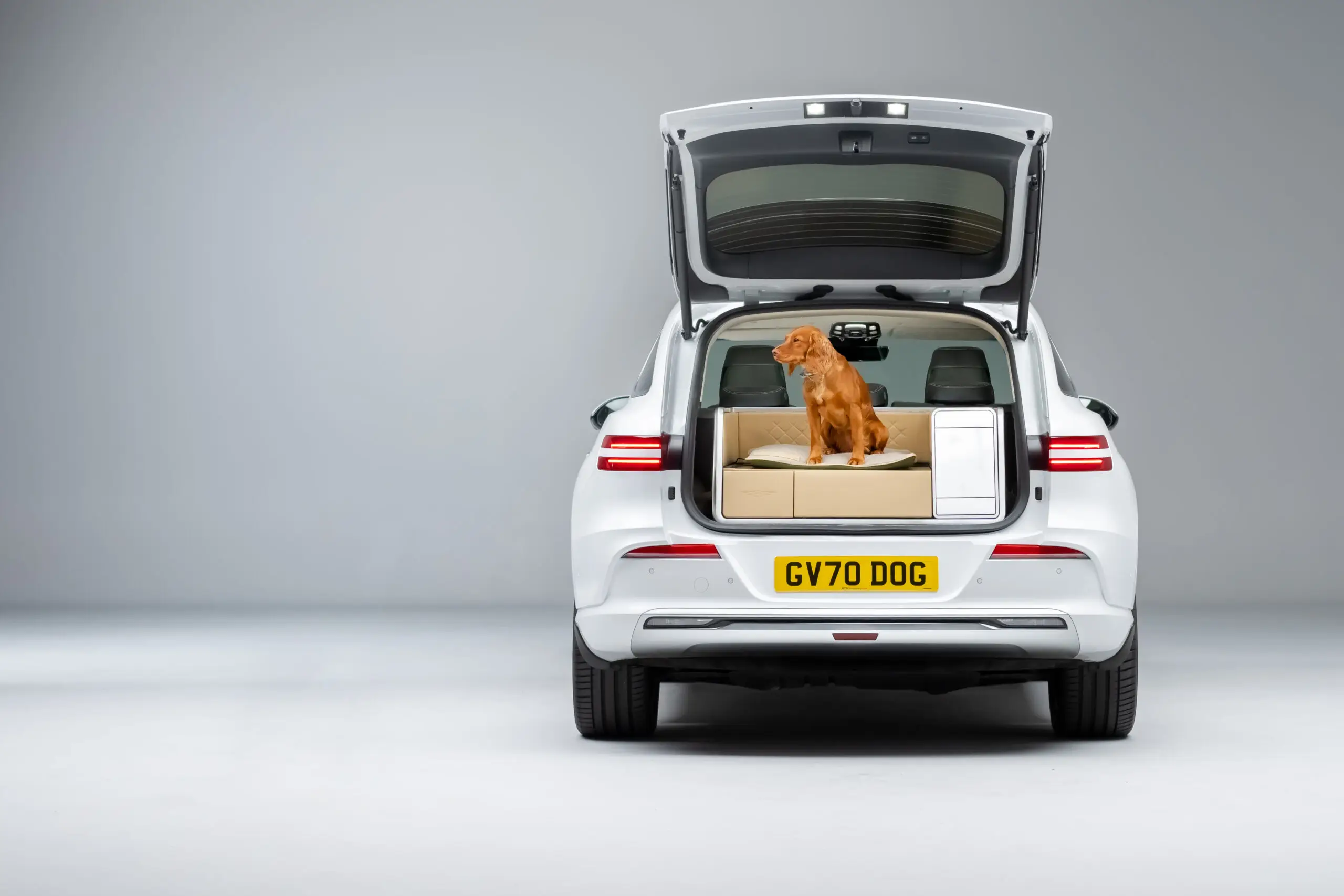 Génesis Crea el Concepto Genesis X Dog